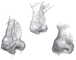 Drawing the Nose