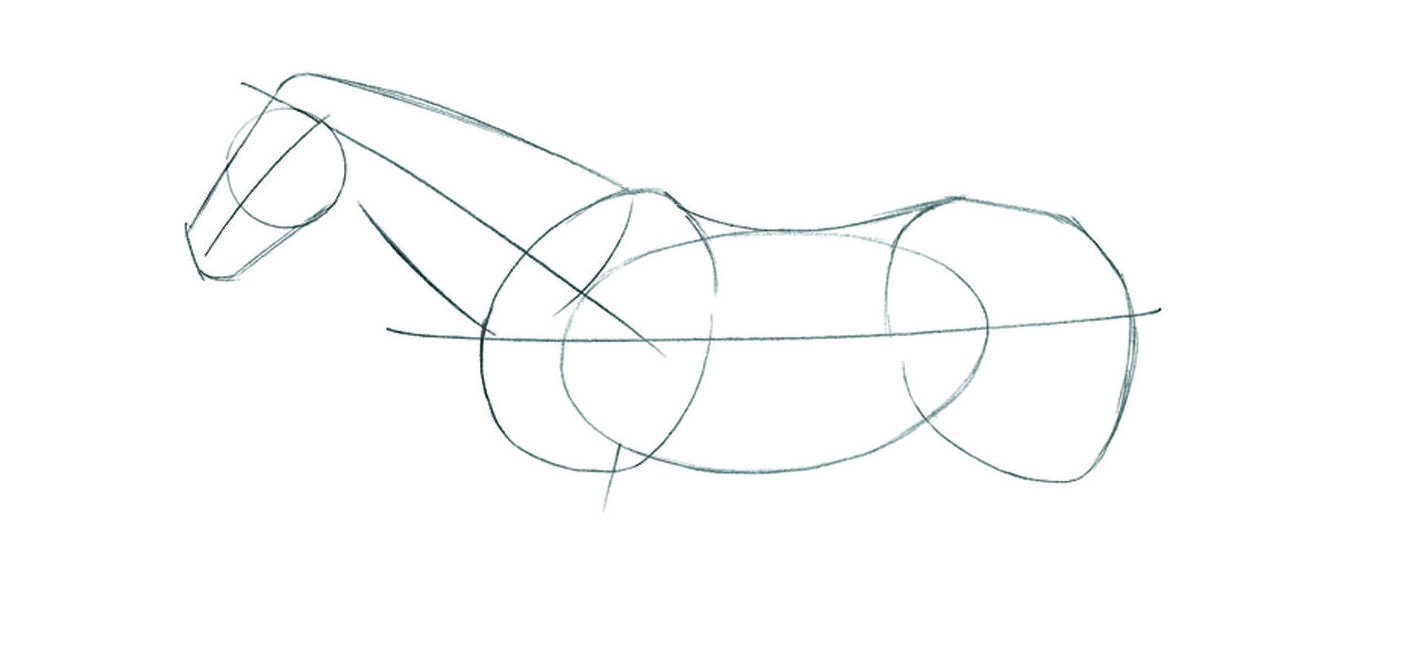 How to Draw Animals | An Easy Drawing Guide for Starting