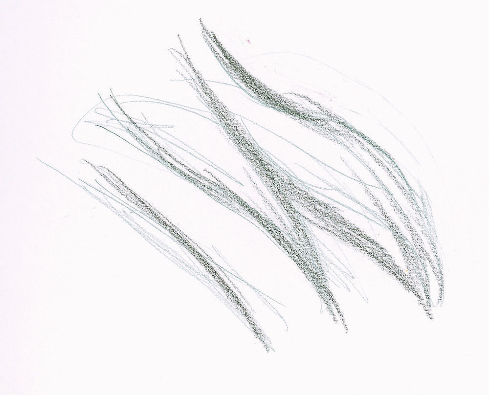 Drawing Hair for Beginners | Graphite and Colored Pencil Techniques
