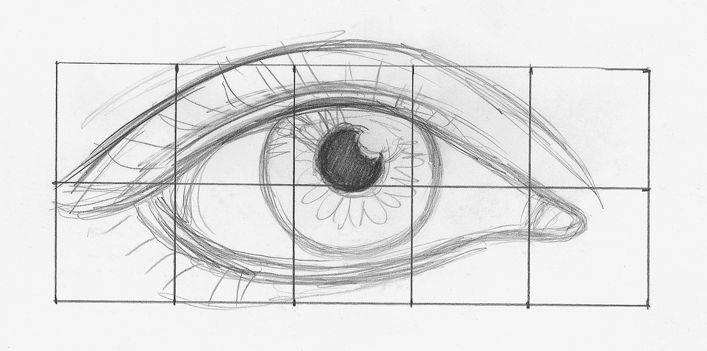 Draw Facial Features with This In-Depth Beginner’s Guide