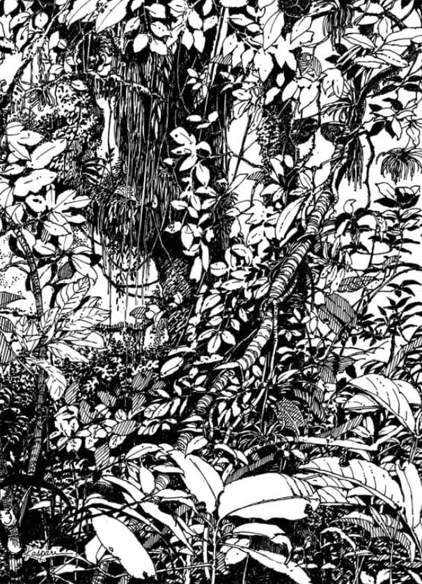 Ink Drawing Techniques for Plein Air | Artists Network