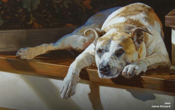 Pets Competition: Best In Show Art Competition | Submit your art today!