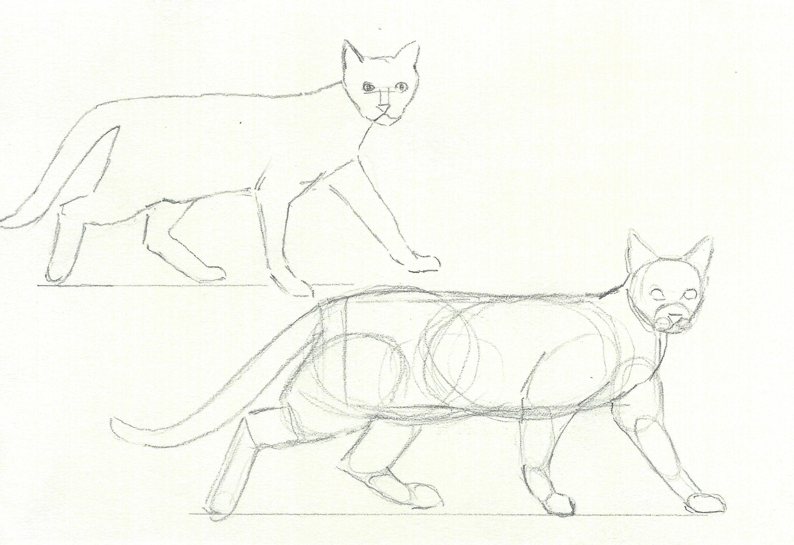 Drawing Basics: How to See How to Draw | Artists Network